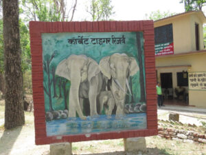 Kalagarh Tiger Reserve ticket price and Timings | Kalagarh Tiger Reserve