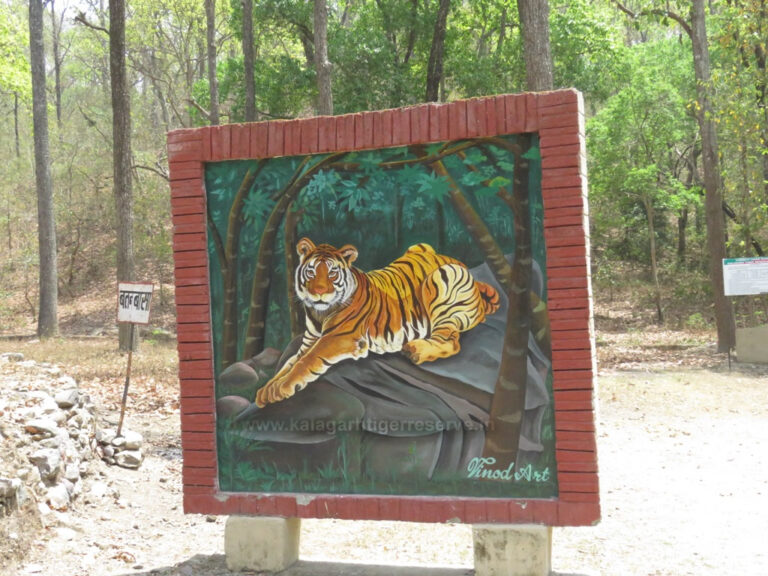 Kalagarh Tiger Reserve ticket price and Timings | Kalagarh Tiger Reserve