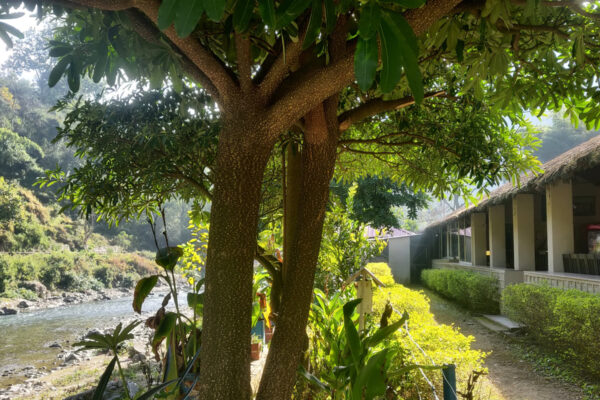 River Side Resort | Kalagarh Tiger Reserve