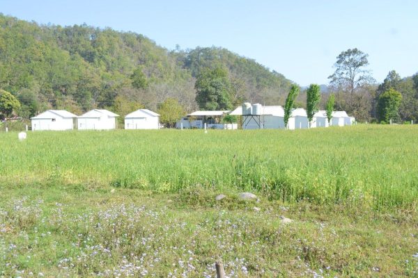 Jungle Cottage | Kalagarh Tiger Reserve
